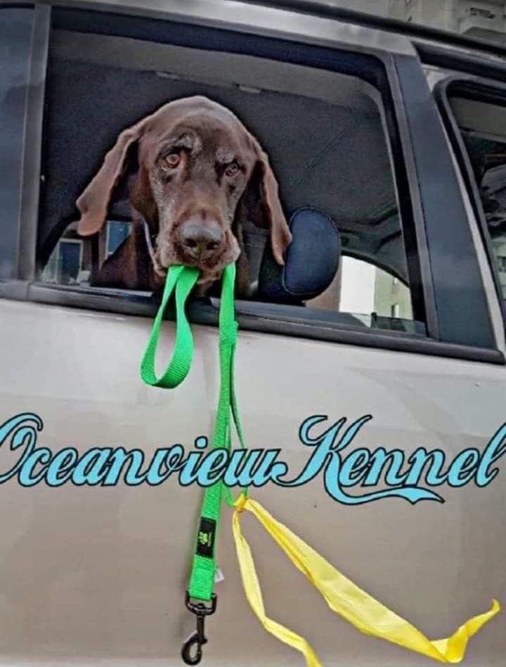 Oceanview Kennel & Pet Resort